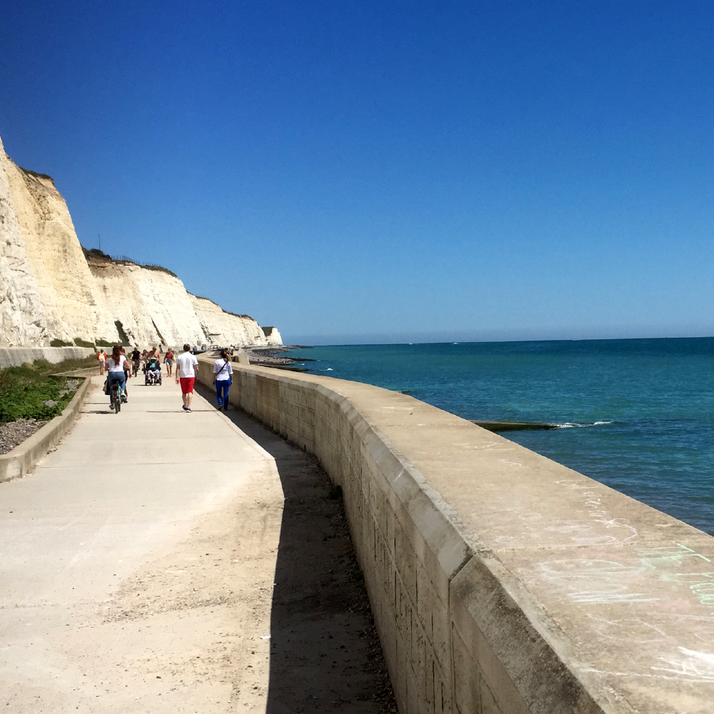 undercliff | Baden Lab