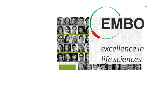 Embo Baden Lab